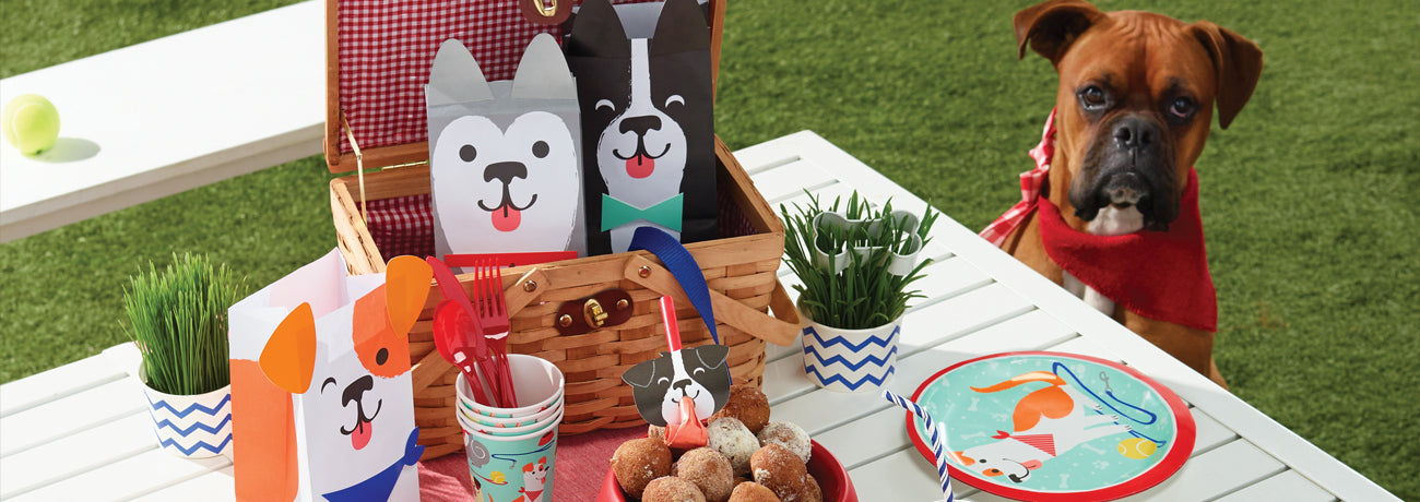 Animal Party Supplies | Jungle, Woodland & Pet Themes | Party Packs