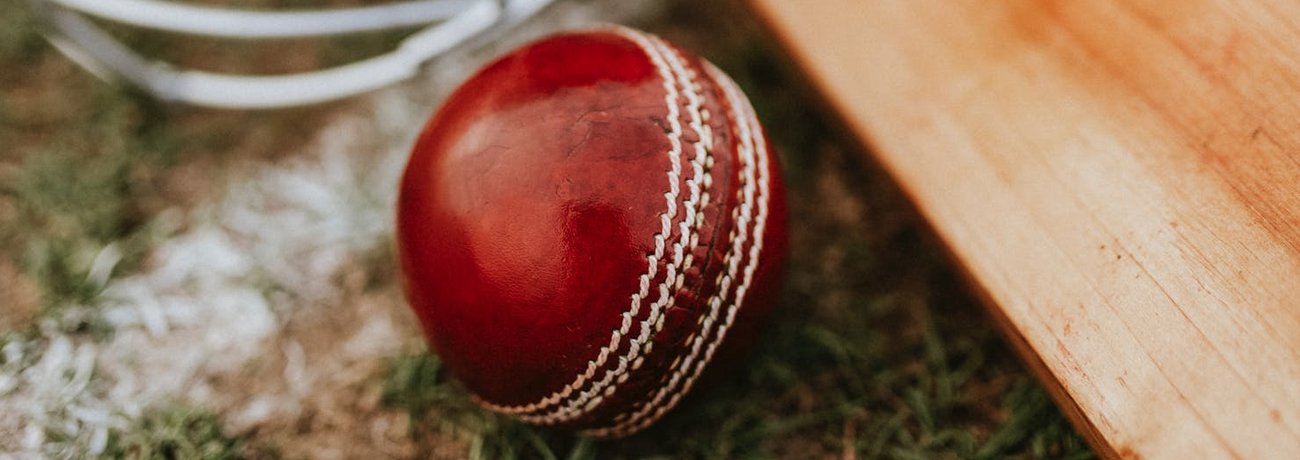 Cricket Themed Party – Party Packs