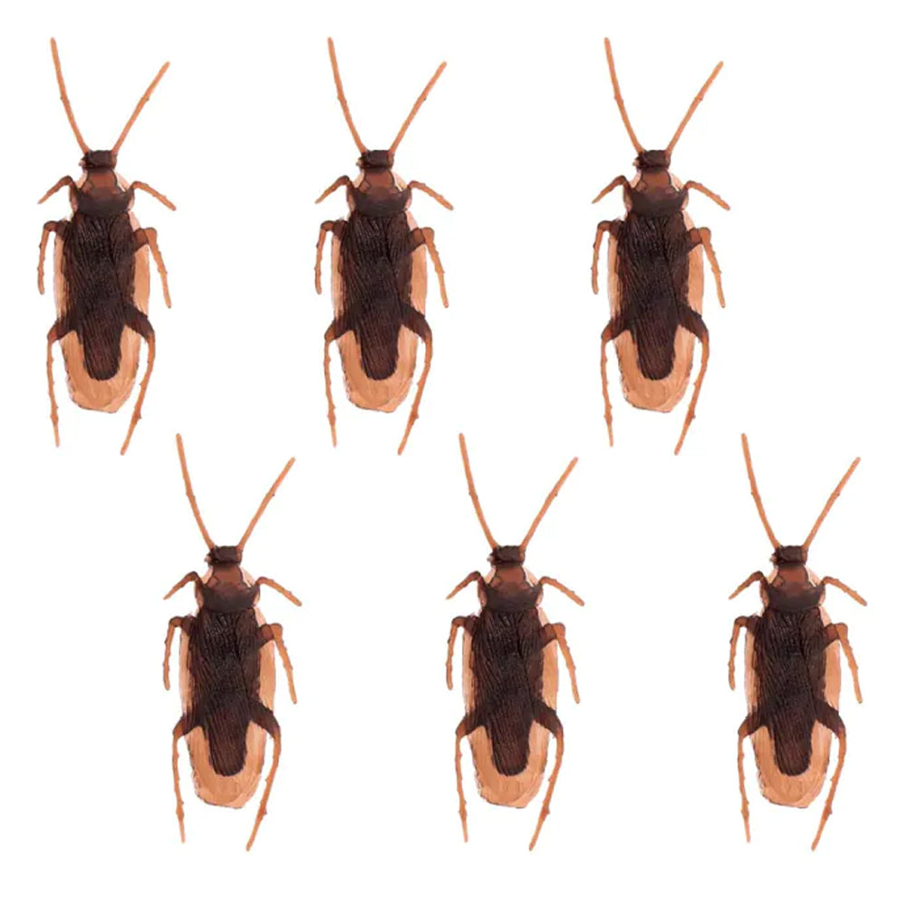 Fake Cockroaches - Pack of 6 – Party Packs