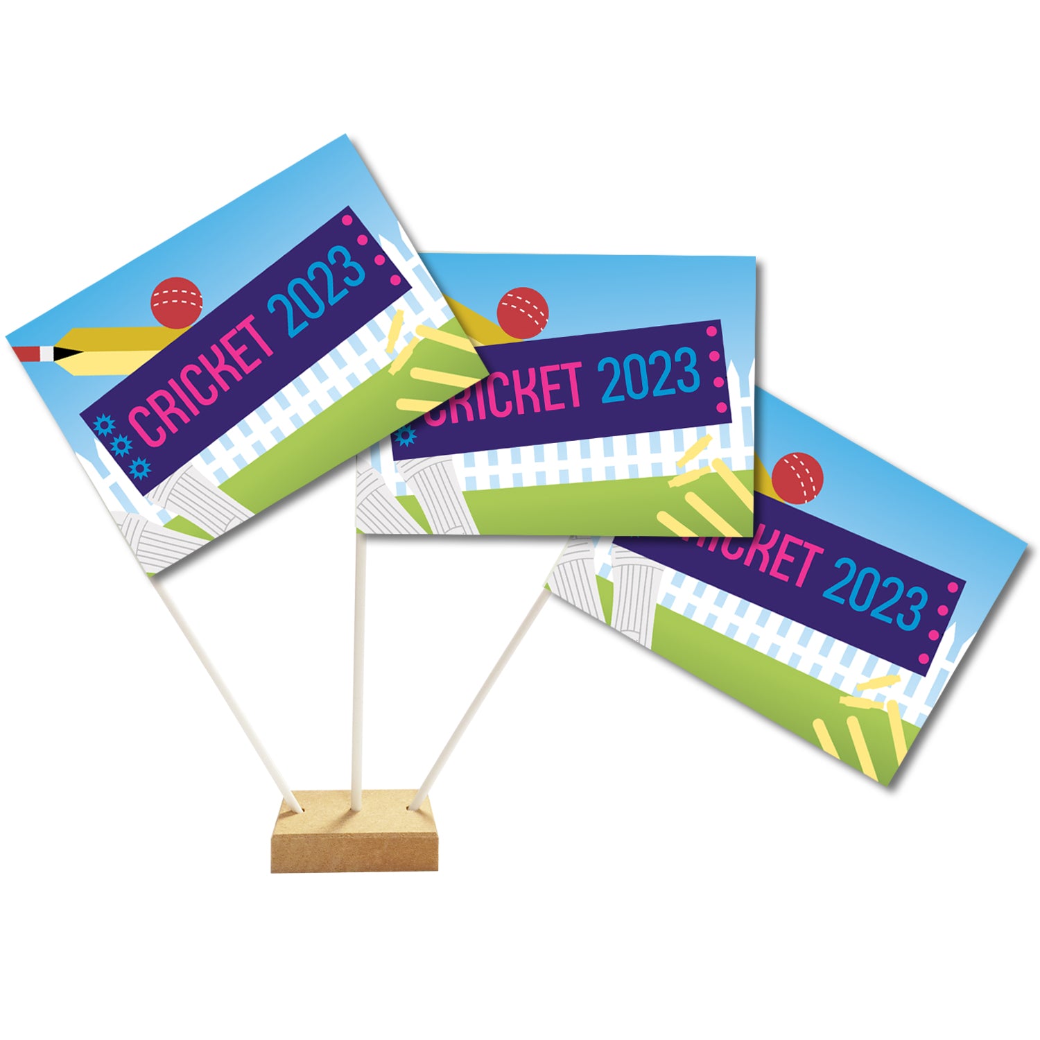 Cricket Decoration Party Pack – Party Packs