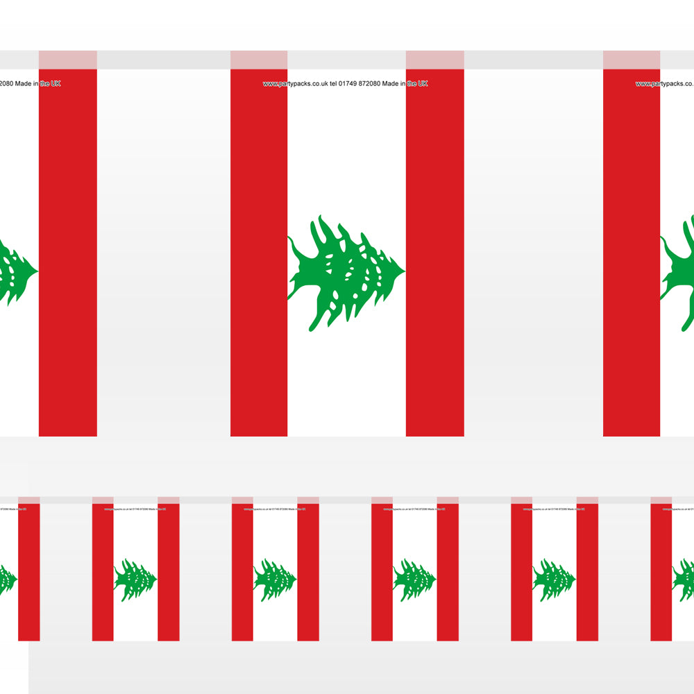 Lebanon Paper Flag Bunting - 2.4m | Decorations | Party Packs