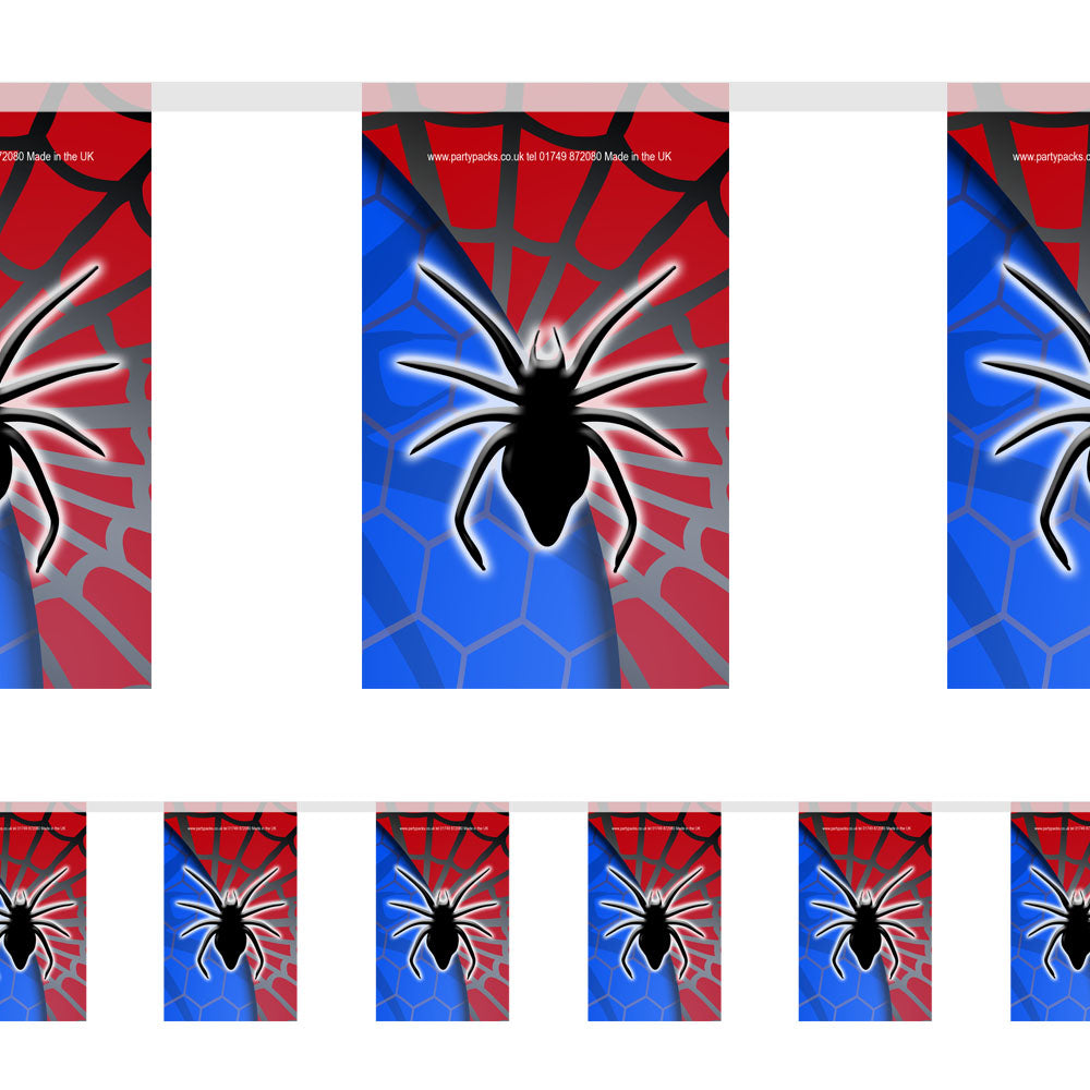 Spider-Man Paper Flag Bunting - 3m | Party Packs