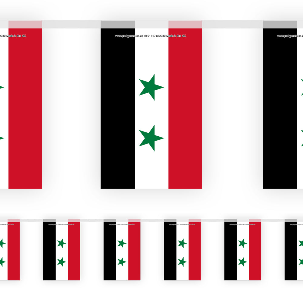 Syria Paper Flag Bunting - 2.4m | Decorations | Party Packs