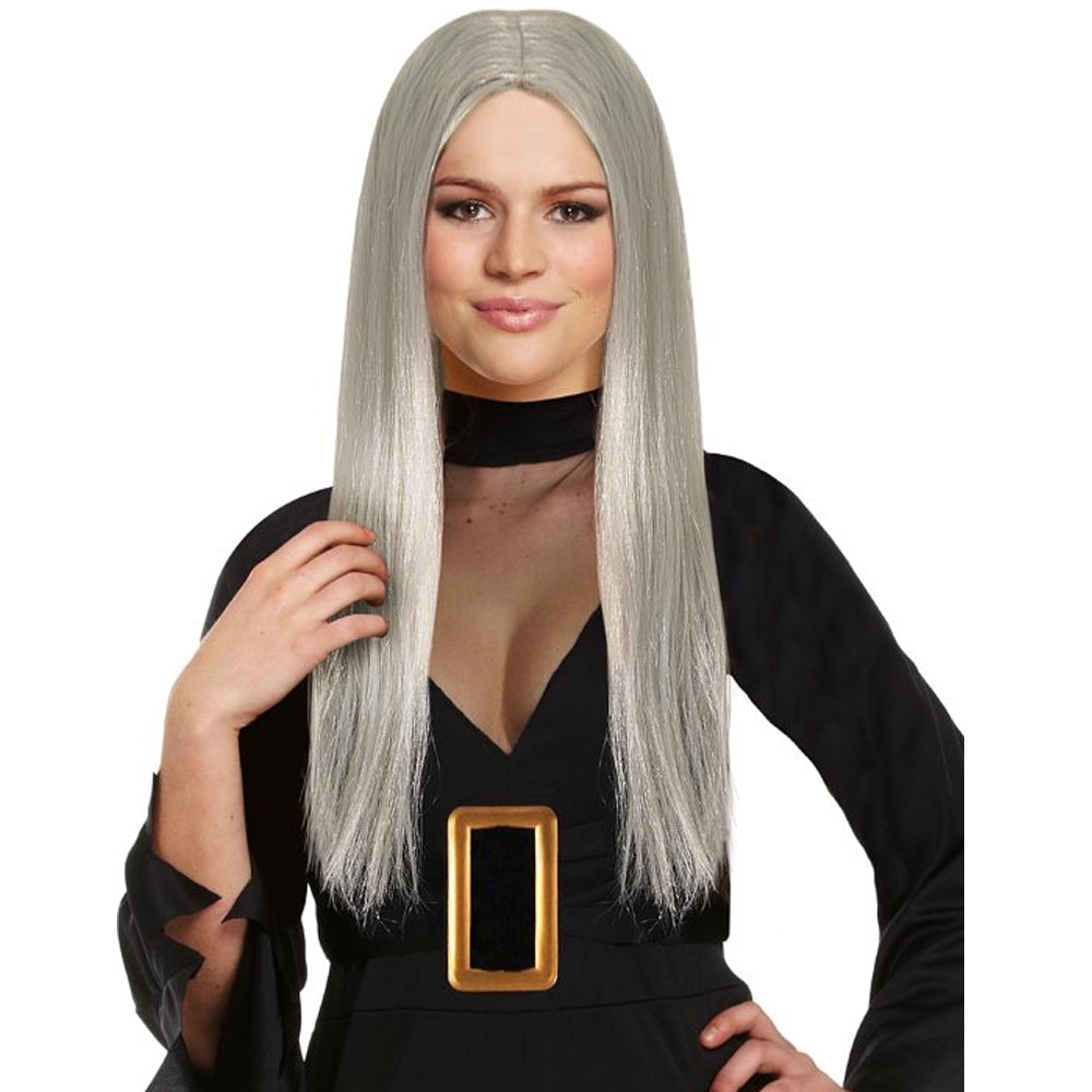 Long Grey Witch Wig – Party Packs
