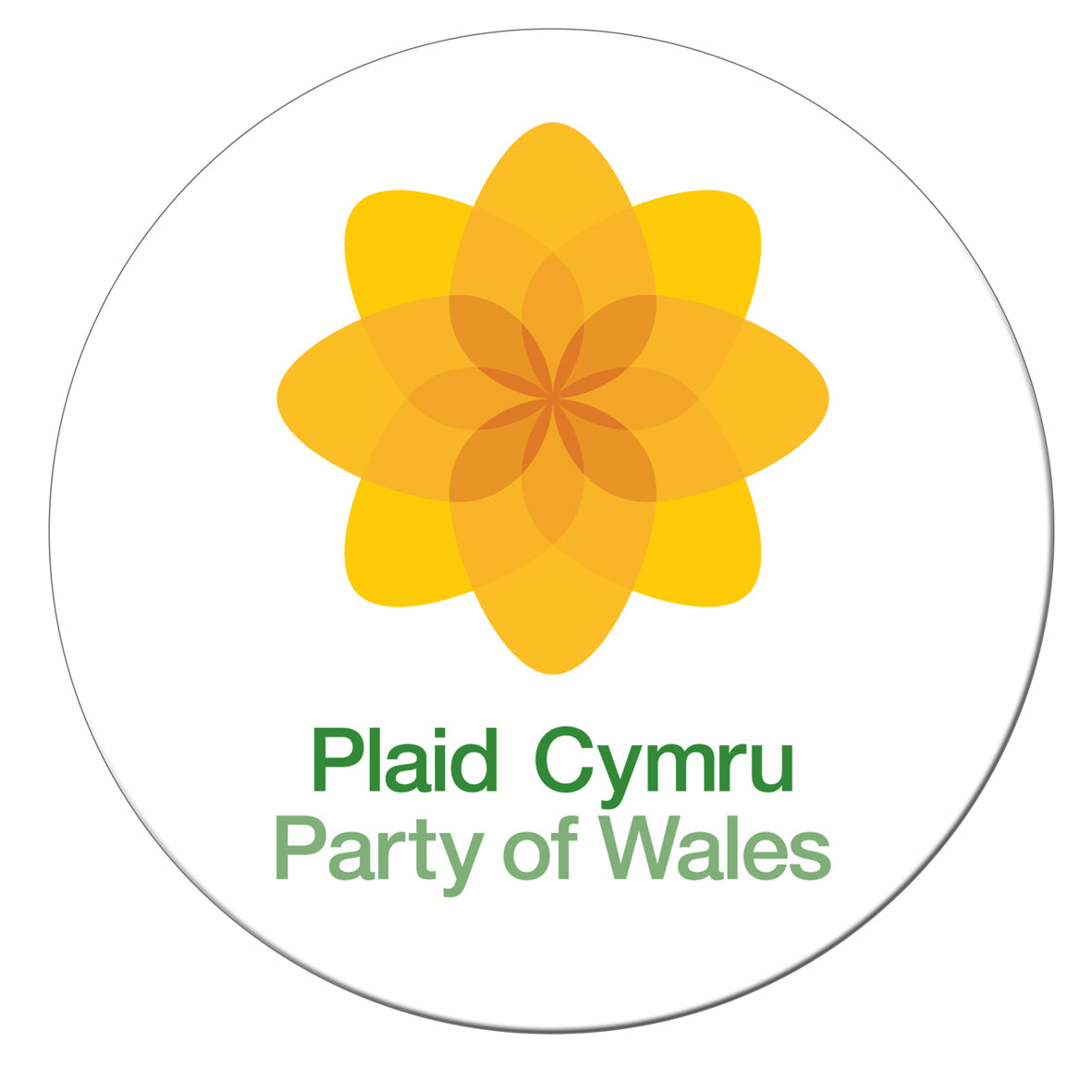 Plaid Cymru Party Logo Caerphilly Council Elections 2022: Party