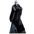 Lord Voldemort From Harry Potter Lifesize Cardboard Cutout With FREE M ...