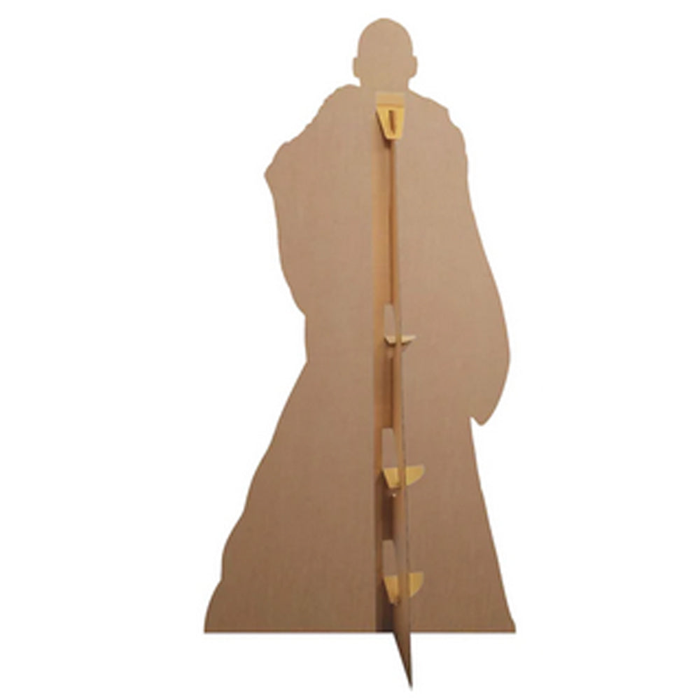 Lord Voldemort From Harry Potter Lifesize Cardboard Cutout With FREE M ...