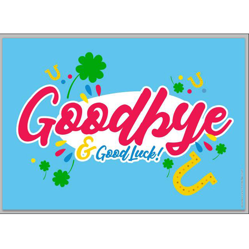 Goodbye and Good Luck Poster - A3 – Party Packs