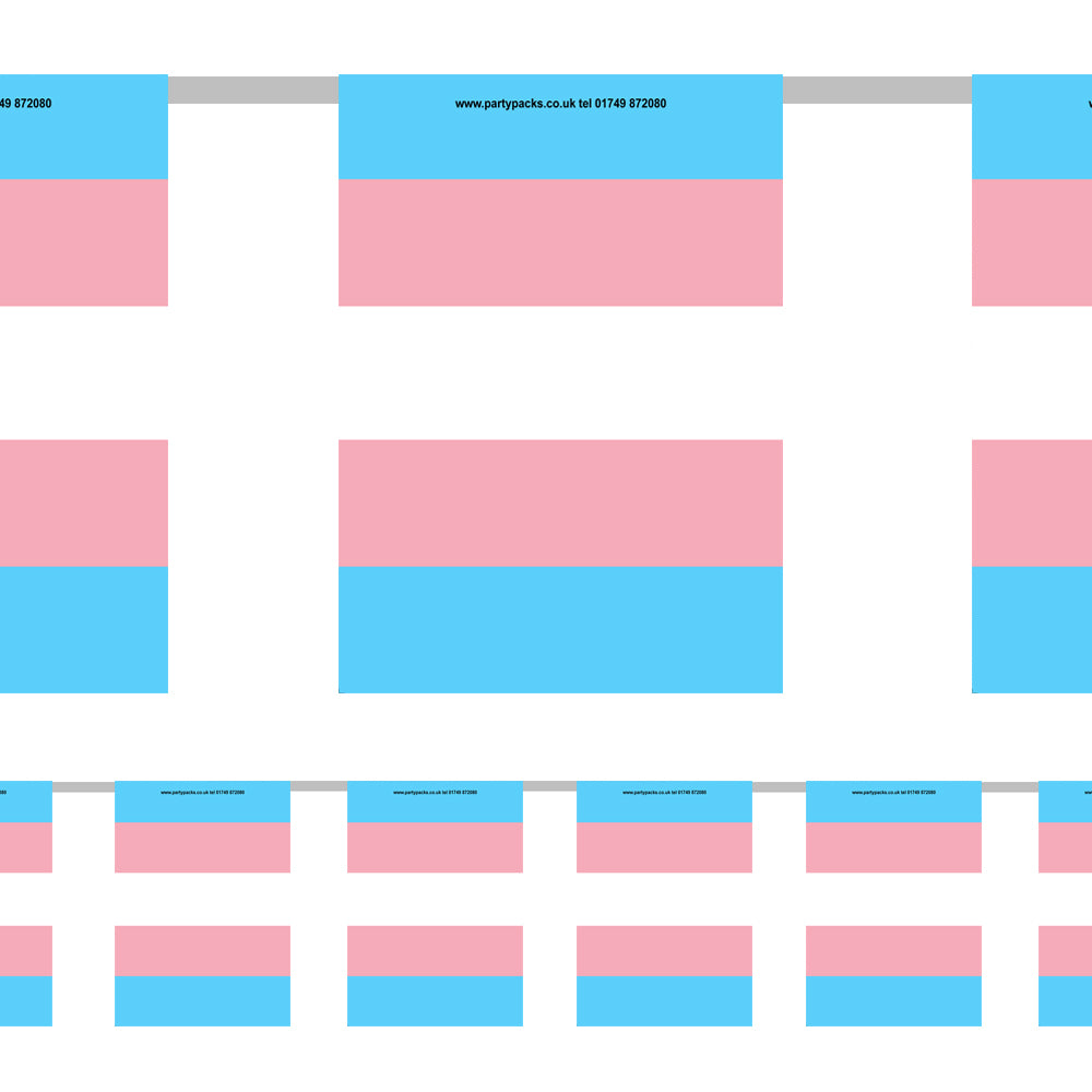 Transgender Pride Flag Paper Bunting - 2.4m – Party Packs