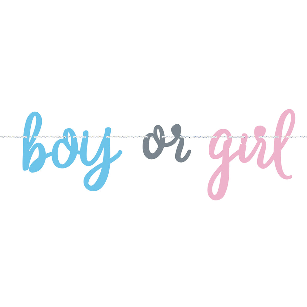Gender Reveal Boy or Girl? Letter Banner - 2.1m – Party Packs
