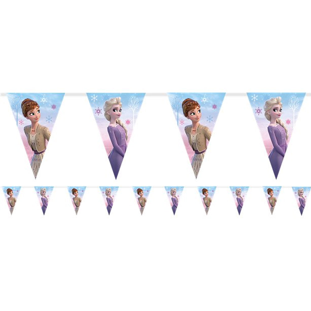 Disney Frozen 2 Wind Spirit Pennant Bunting - 2m – Party Packs