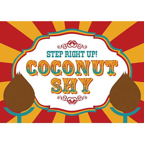 Fundraising Coconut Shy Sign - A3 – Party Packs