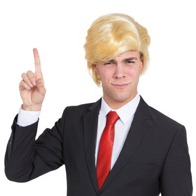 Donald Trump Style Wig – Party Packs