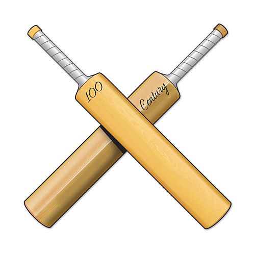 Cricket Decoration Party Pack – Party Packs