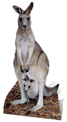 Kangaroo Cardboard Cutout - 1.95m – Party Packs