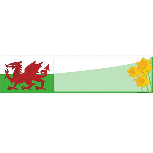 Welsh Themed Banner - 120 x 20cm – Party Packs