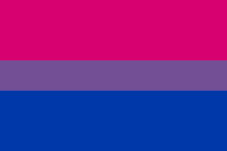 Bisexual Pride Polyester Fabric Flag 5ft x 3ft – Party Packs