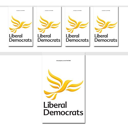 Liberal Democrats Flag Interior Bunting - 2.4m – Party Packs
